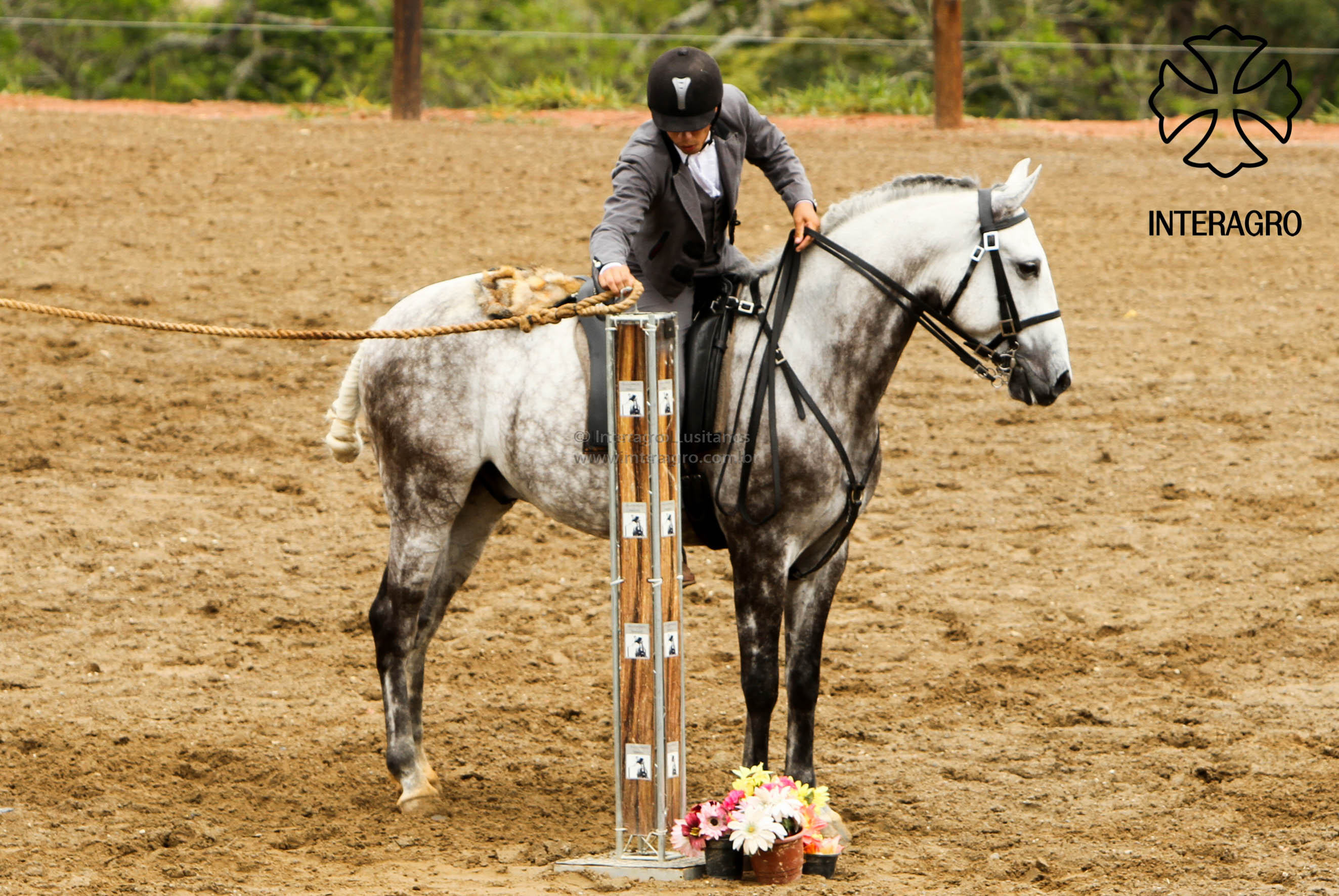 Feitor Interagro | Interagro Lusitanos