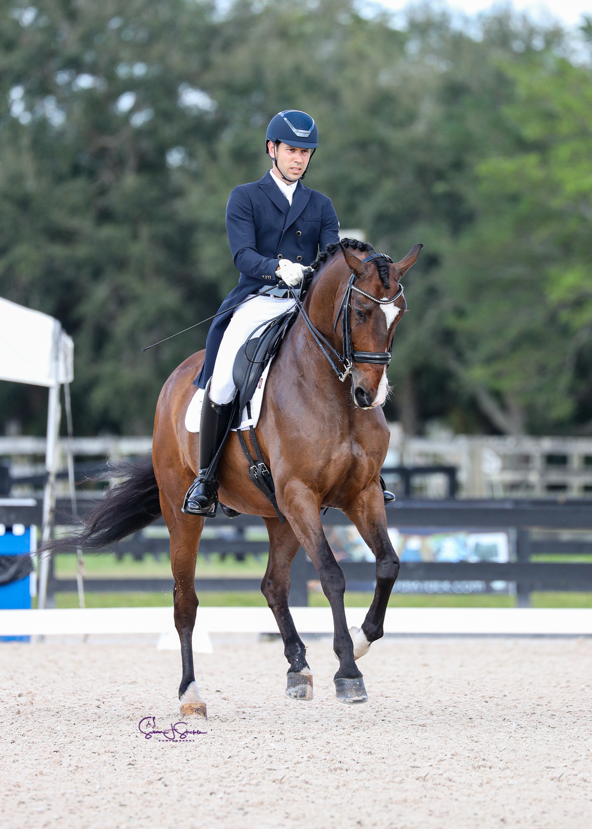 Hectar Interagro Scores 70+ at Small Tour in 2024 | Interagro Lusitanos