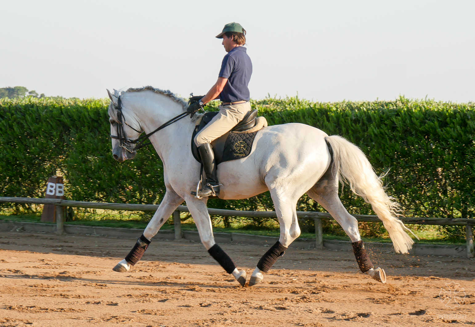 Bailos Interagro | Interagro Lusitanos
