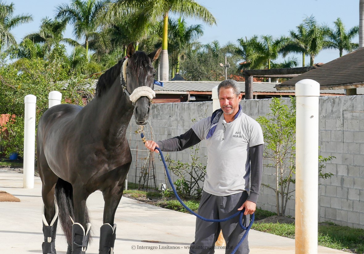 300 Horses, 3 Companies, a Distinguished Global Partnership: Interagro ...