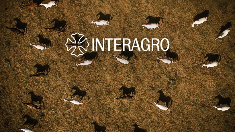 Hectar Interagro Scores 70+ at Small Tour in 2024 | Interagro Lusitanos