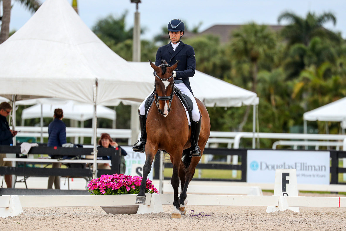 Hectar Interagro Scores 70+ at Small Tour in 2024 | Interagro Lusitanos