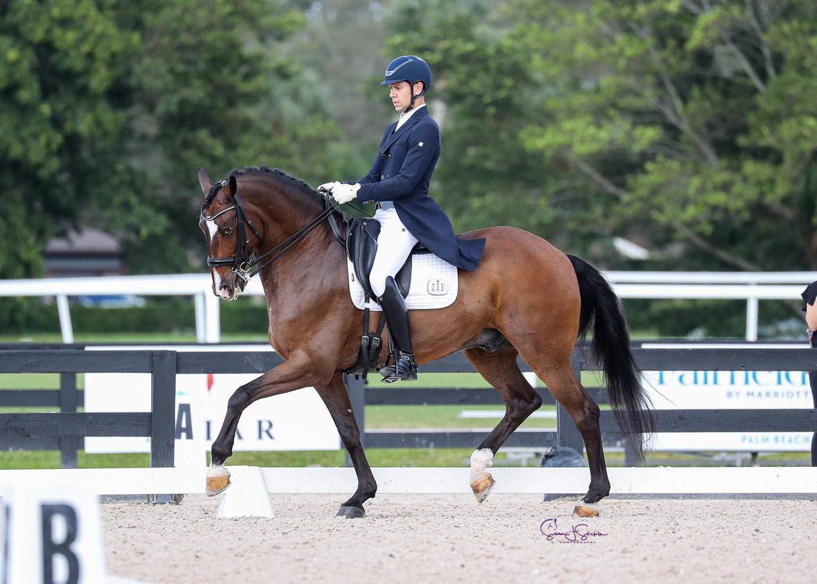 Hectar Interagro Scores 70+ at Small Tour in 2024 | Interagro Lusitanos